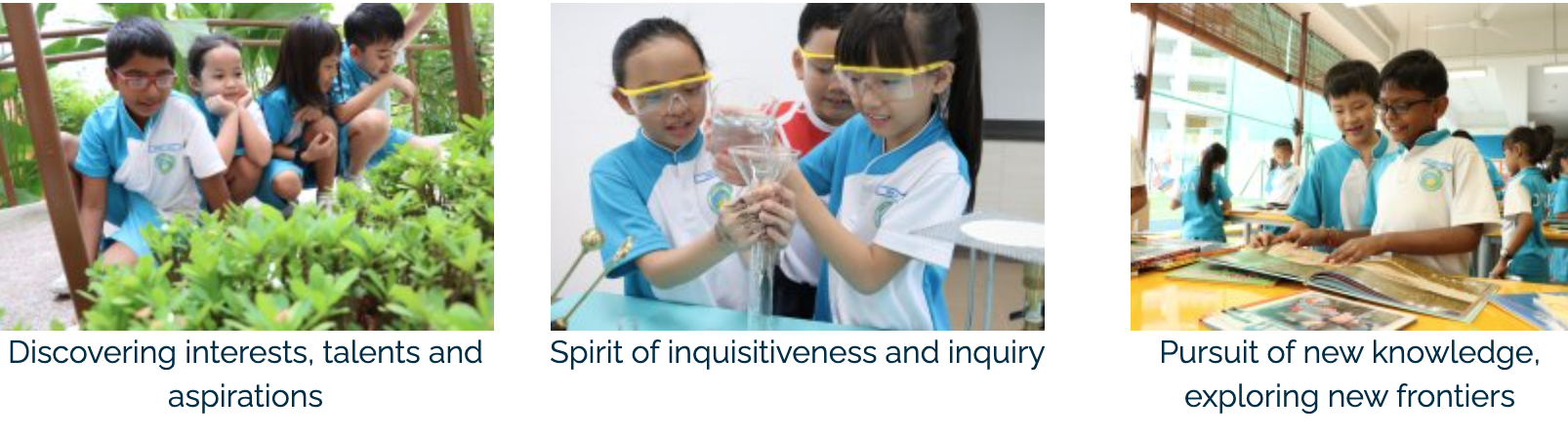 Oasis Learning Experiences